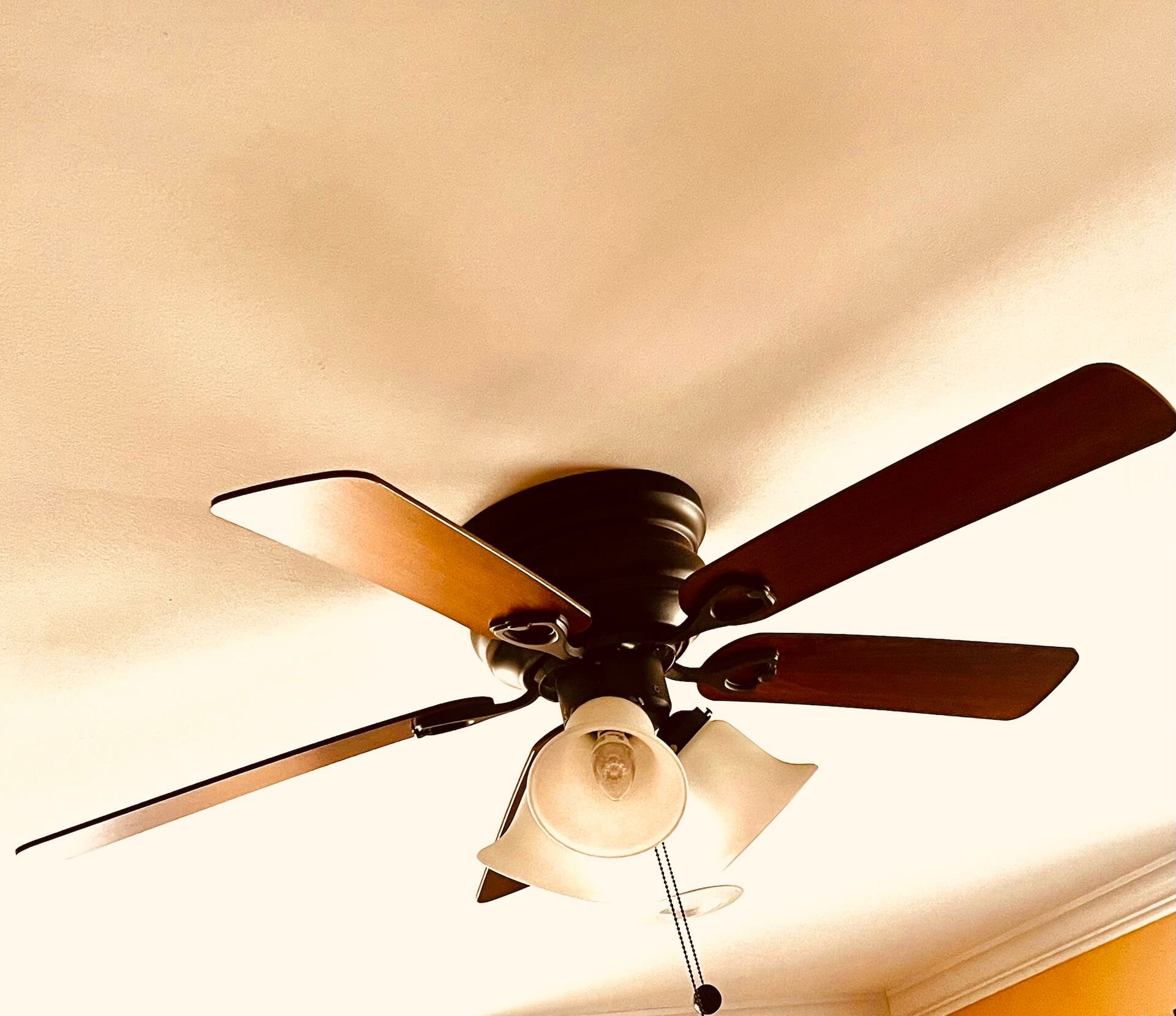 Ceiling Fan And Fixture Installation Pennsylvania | Capricorn Electric